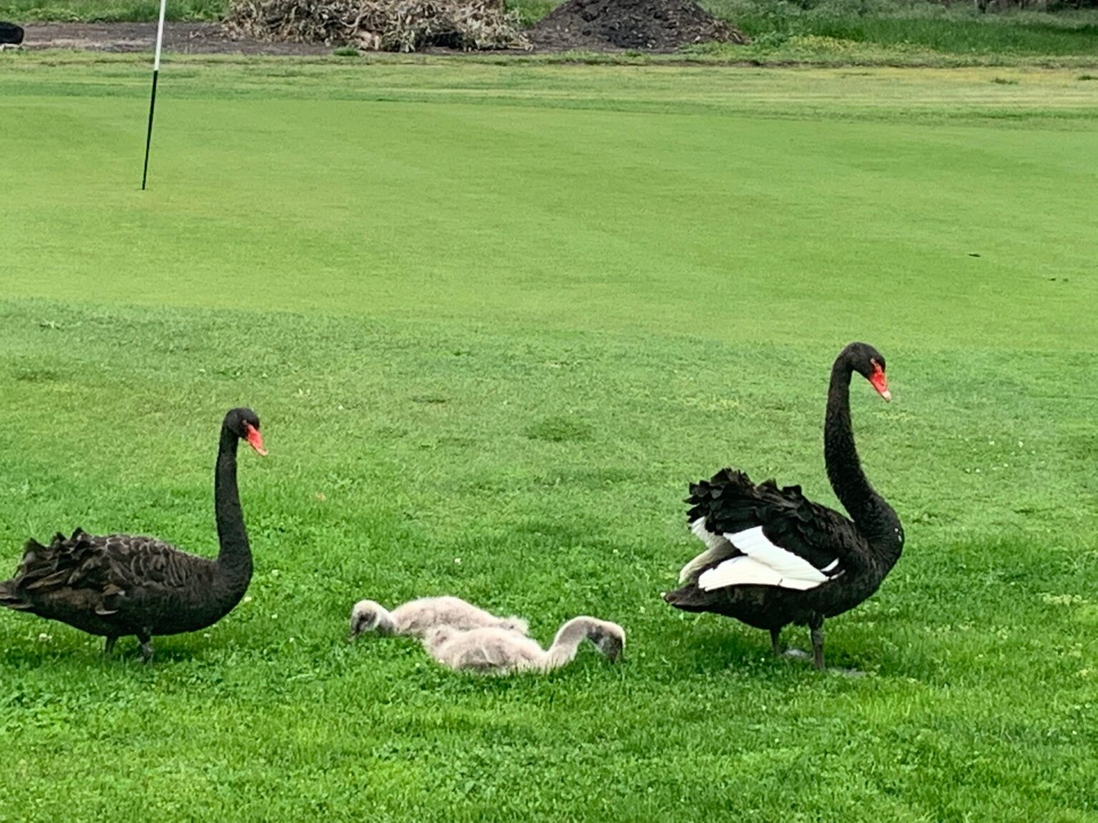 Kilmore golf club | Kilmore Golf Club
